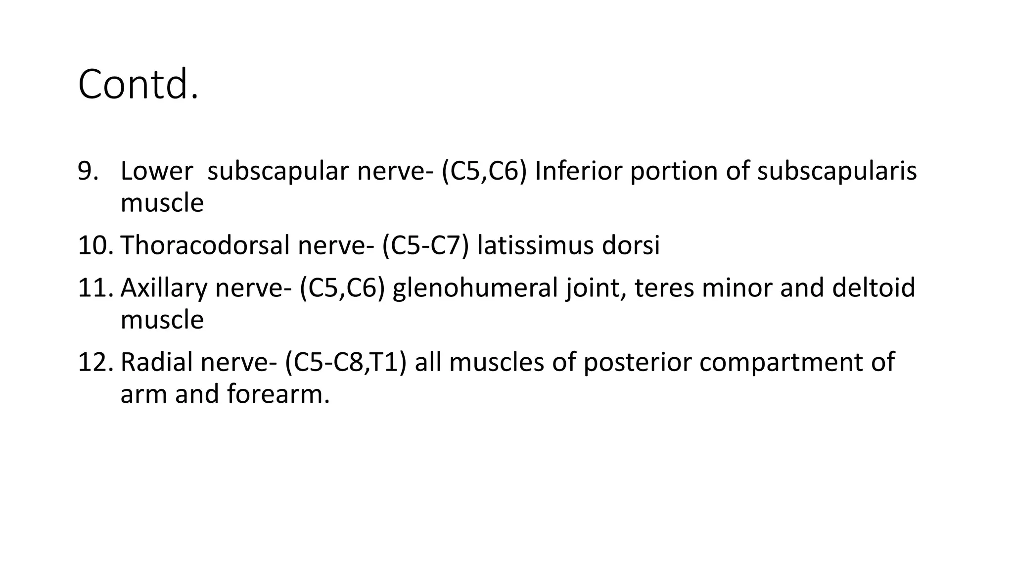 Brachial plexus | PPTX