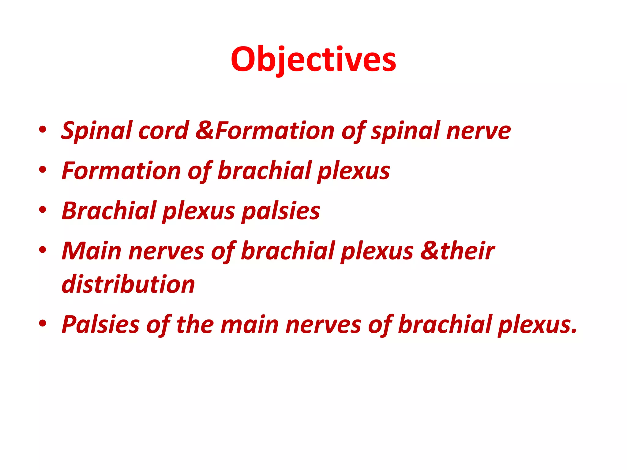Brachial plexus in the Upper Extremity. By Dr. G Kamau | PPTX