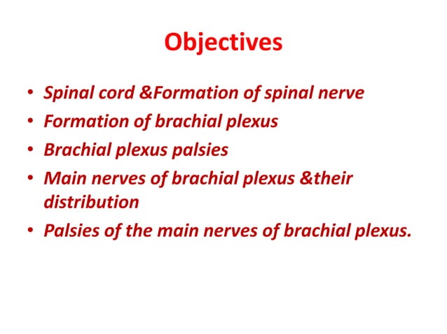 Brachial plexus in the Upper Extremity. By Dr. G Kamau | PPT