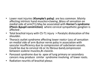 Brachial plexus in the Upper Extremity. By Dr. G Kamau | PPTX