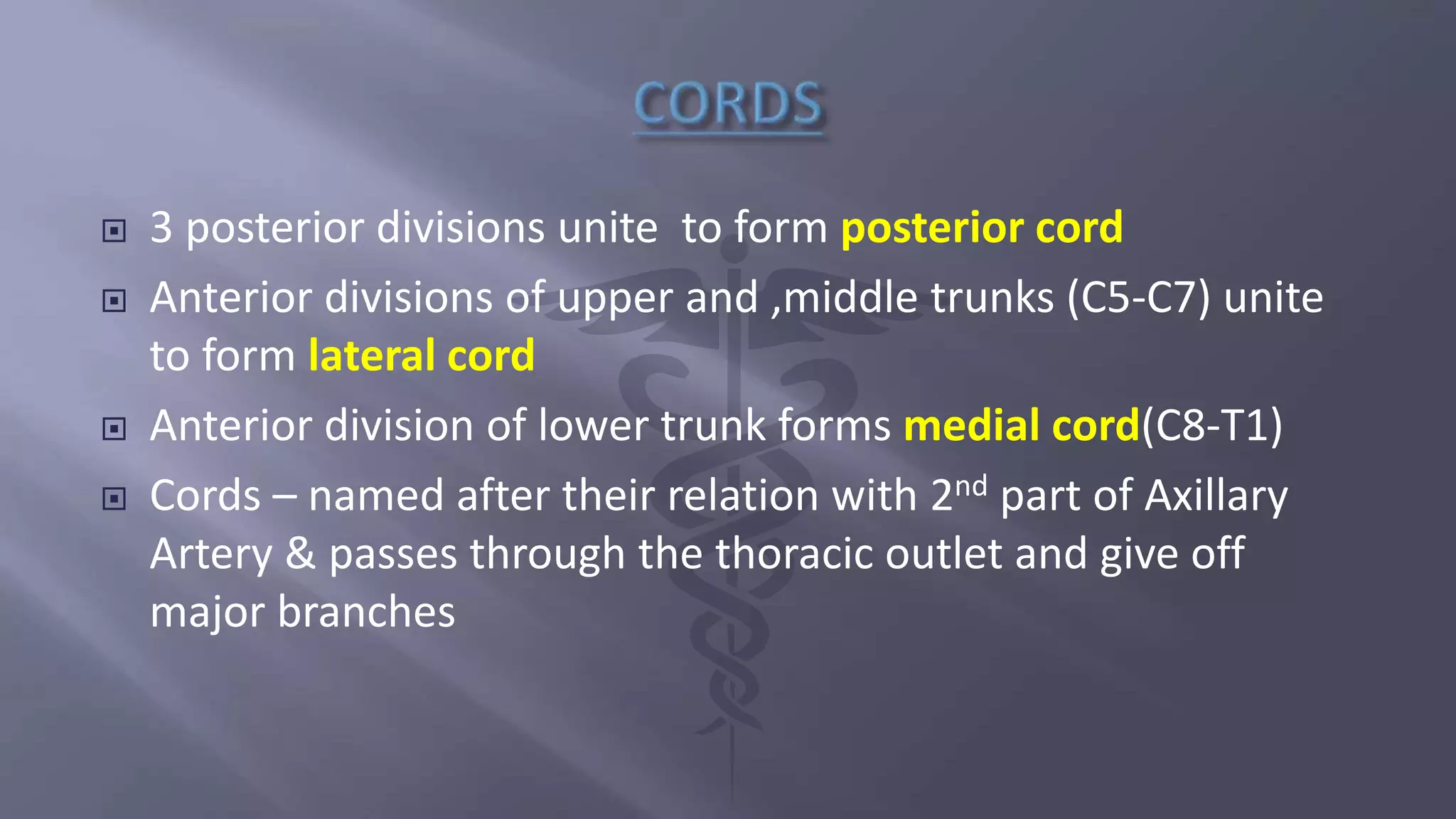 Brachial plexus | PPTX