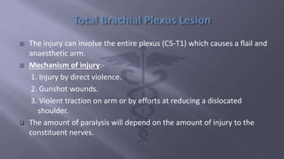 Brachial plexus | PPTX