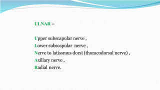 Brachial plexus by Dr. Rahul Singh Thakur | PPTX