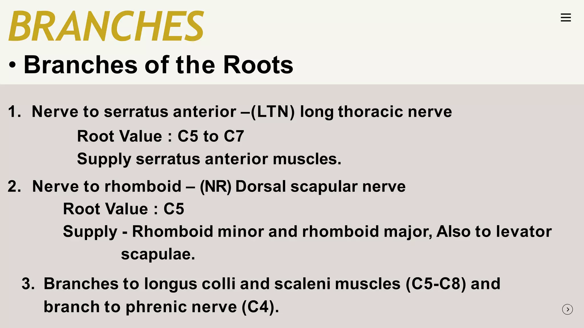 BRACHIAL PLEXUS-2.pptx