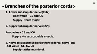 BRACHIAL PLEXUS-2.pptx