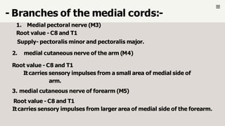 BRACHIAL PLEXUS-2.pptx