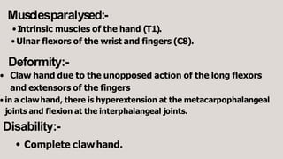 BRACHIAL PLEXUS-2.pptx