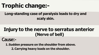 BRACHIAL PLEXUS-2.pptx