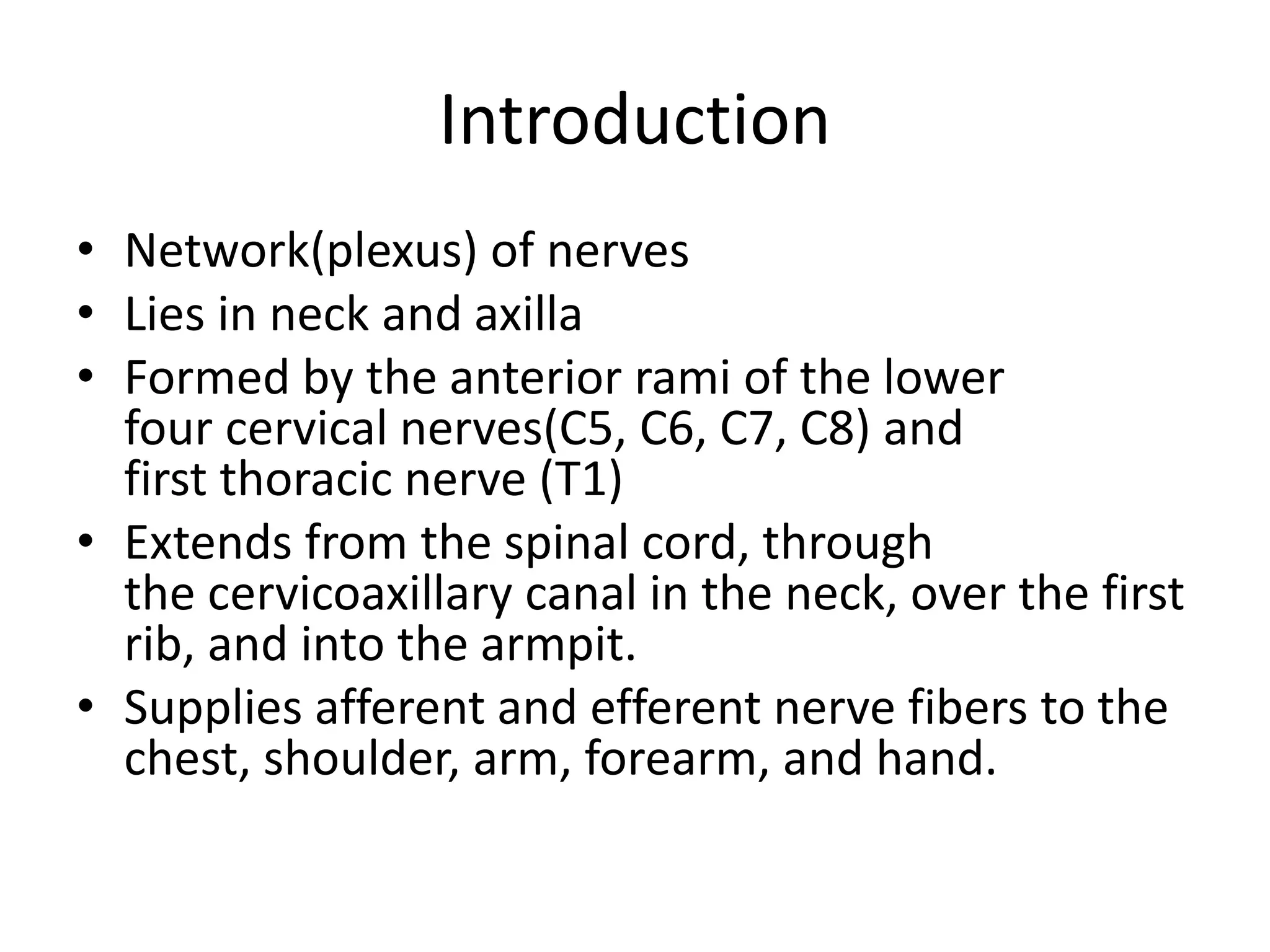 Anatomy of Brachial Plexus | PPTX