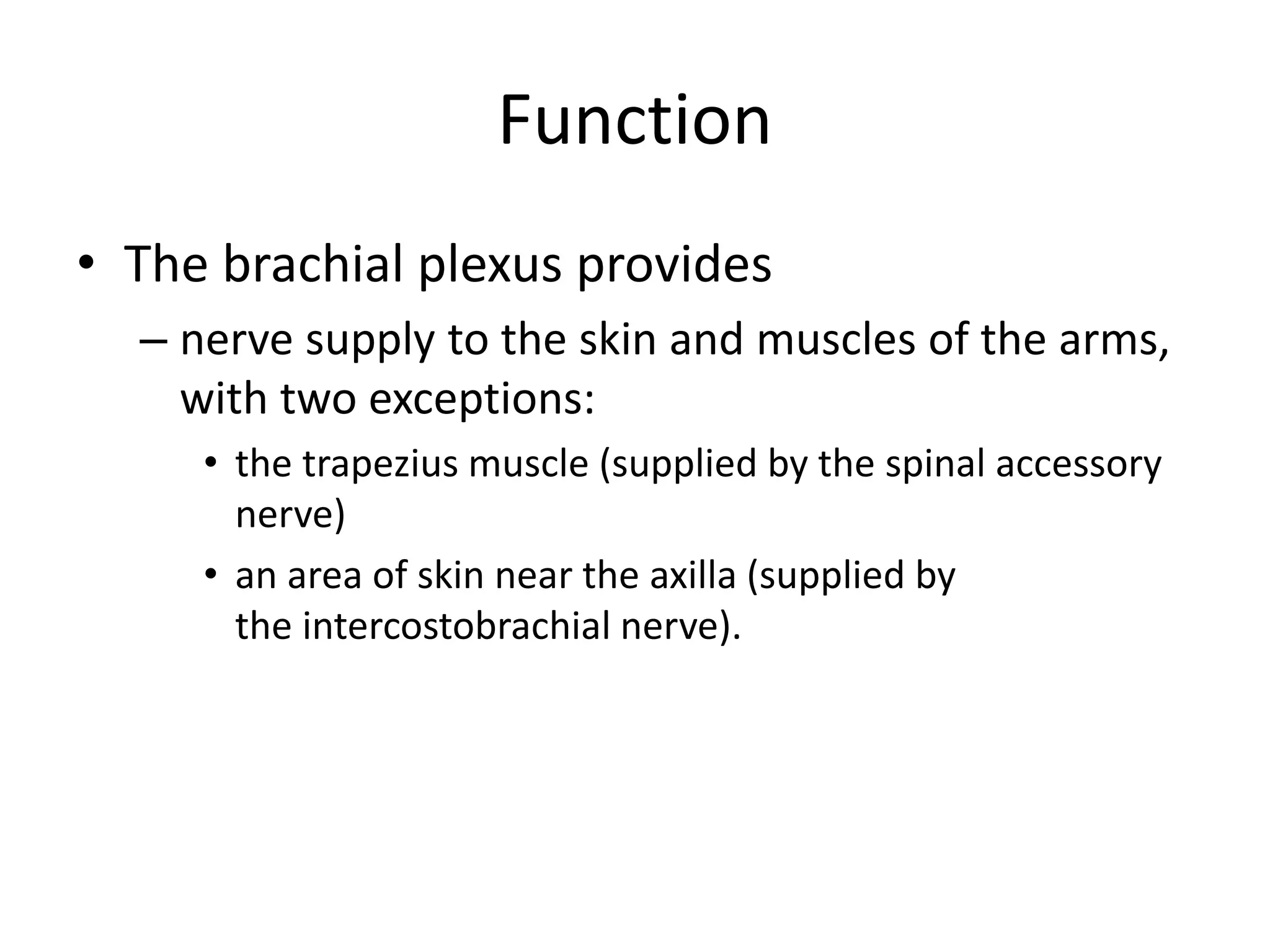 Anatomy of Brachial Plexus | PPTX