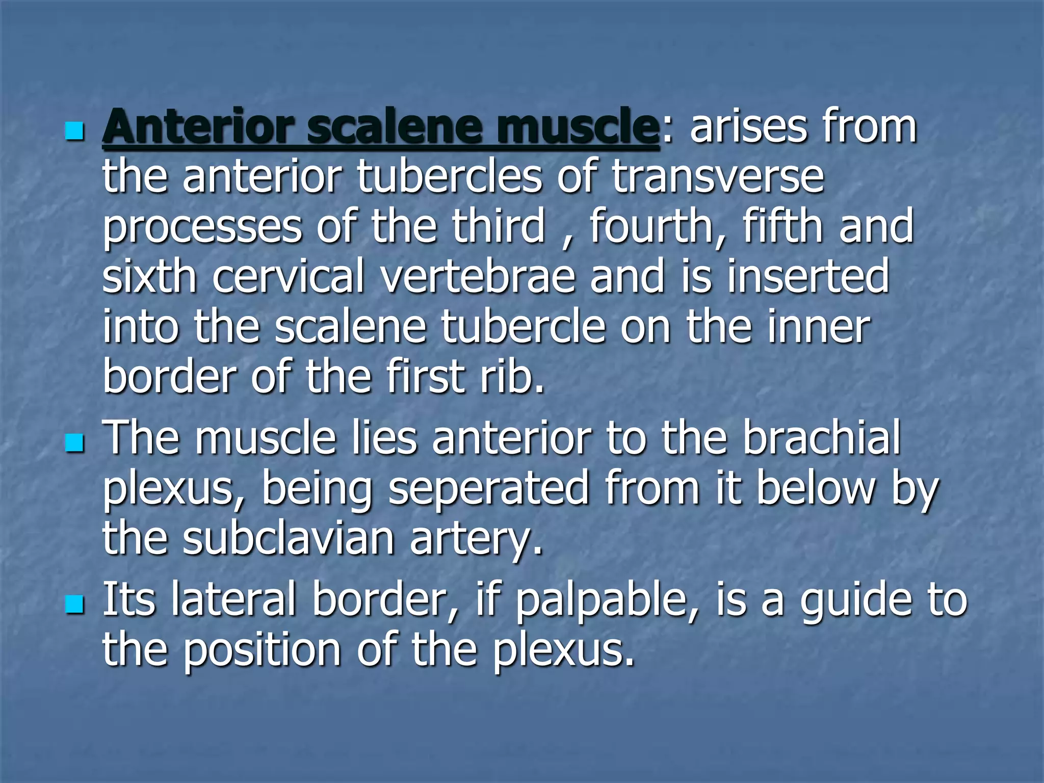 Brachial plexus anatomy and block | PPT
