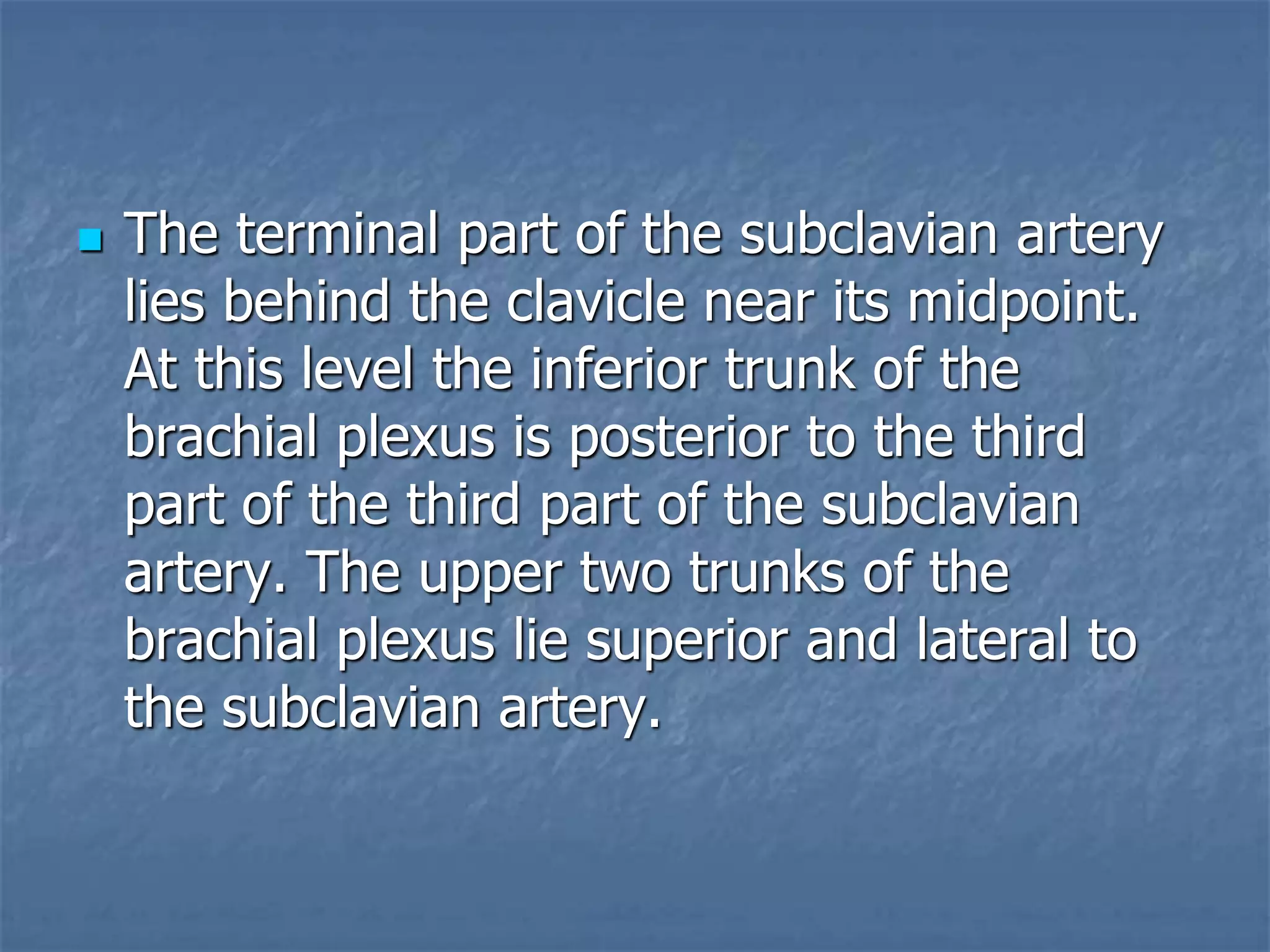 Brachial plexus anatomy and block | PPT