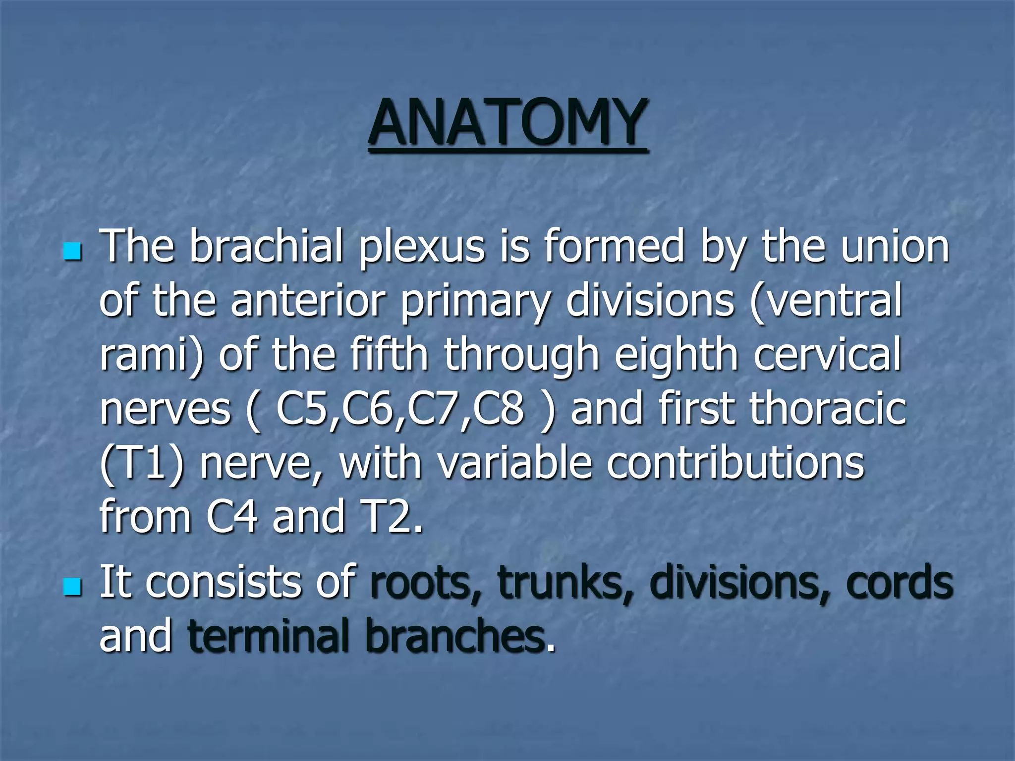 Brachial plexus anatomy and block | PPT