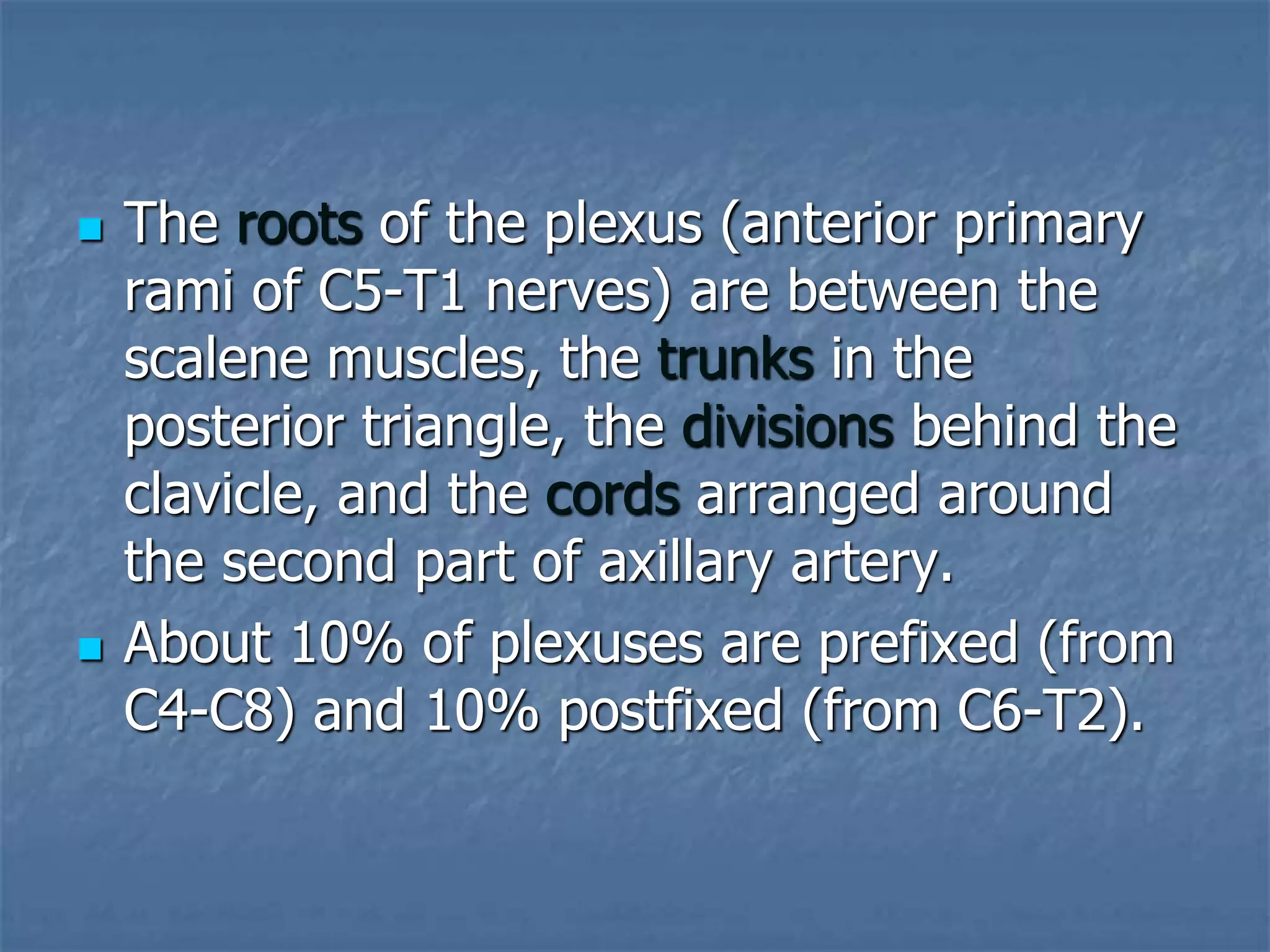 Brachial plexus anatomy and block | PPT