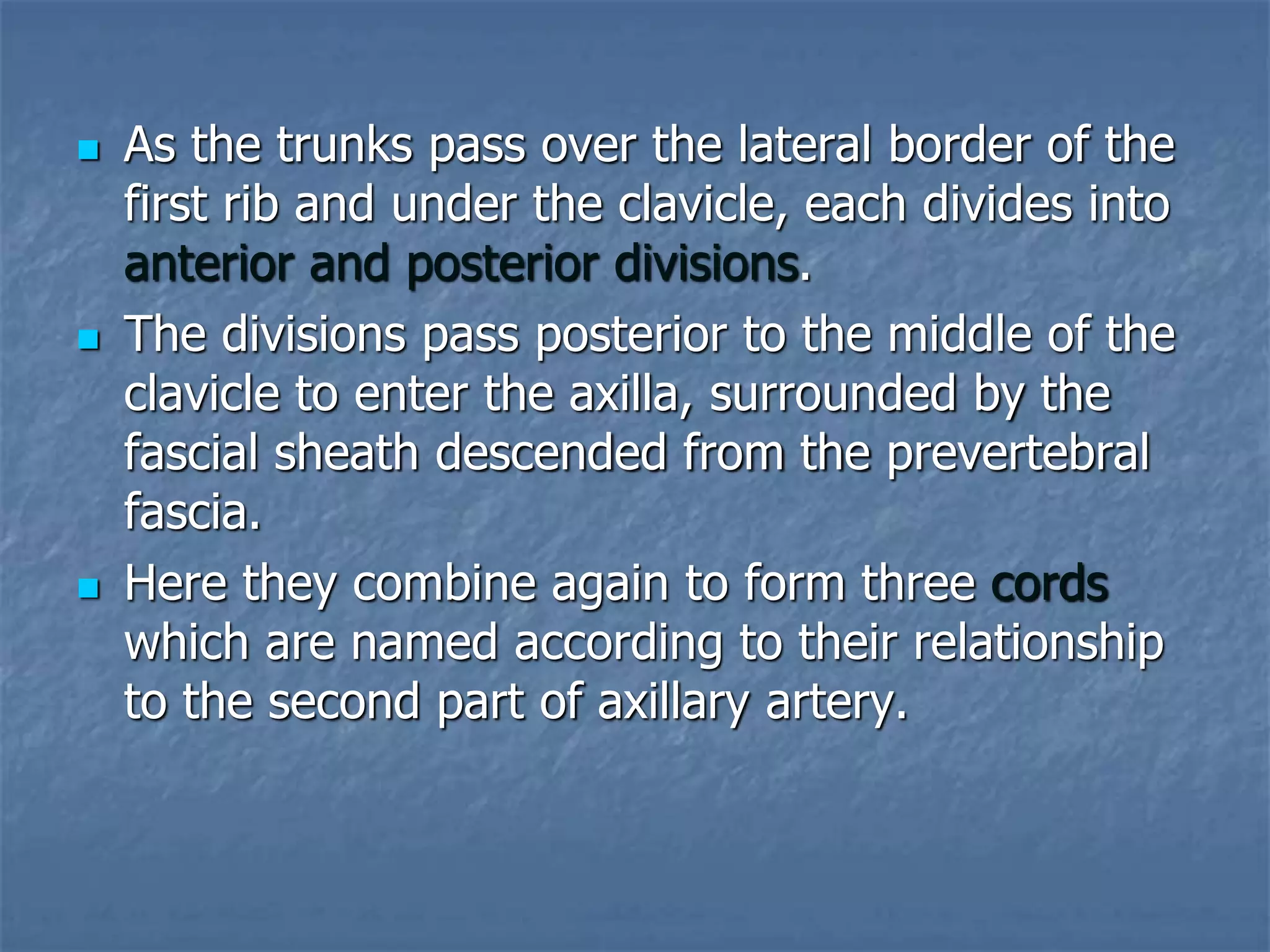 Brachial plexus anatomy and block | PPT