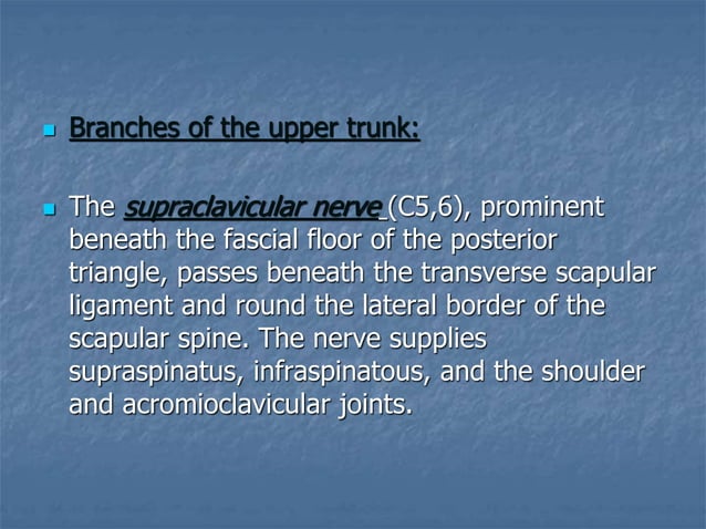Brachial plexus anatomy and block | PPT | Death, Injury, or Military Conflict | Sensitive Topics