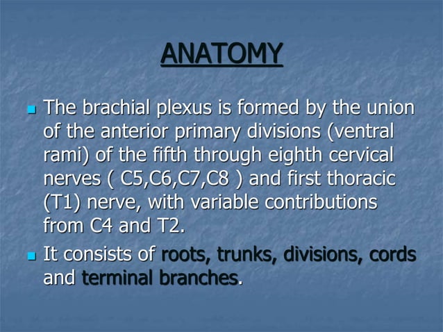 Brachial plexus anatomy and block | PPT | Death, Injury, or Military Conflict | Sensitive Topics