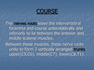 Brachial plexus anatomy and block | PPT