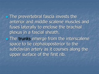 Brachial plexus anatomy and block | PPT