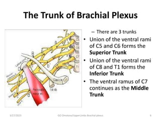 Brachial Plexus -2023.pdf