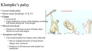 Brachial plexus.pptx