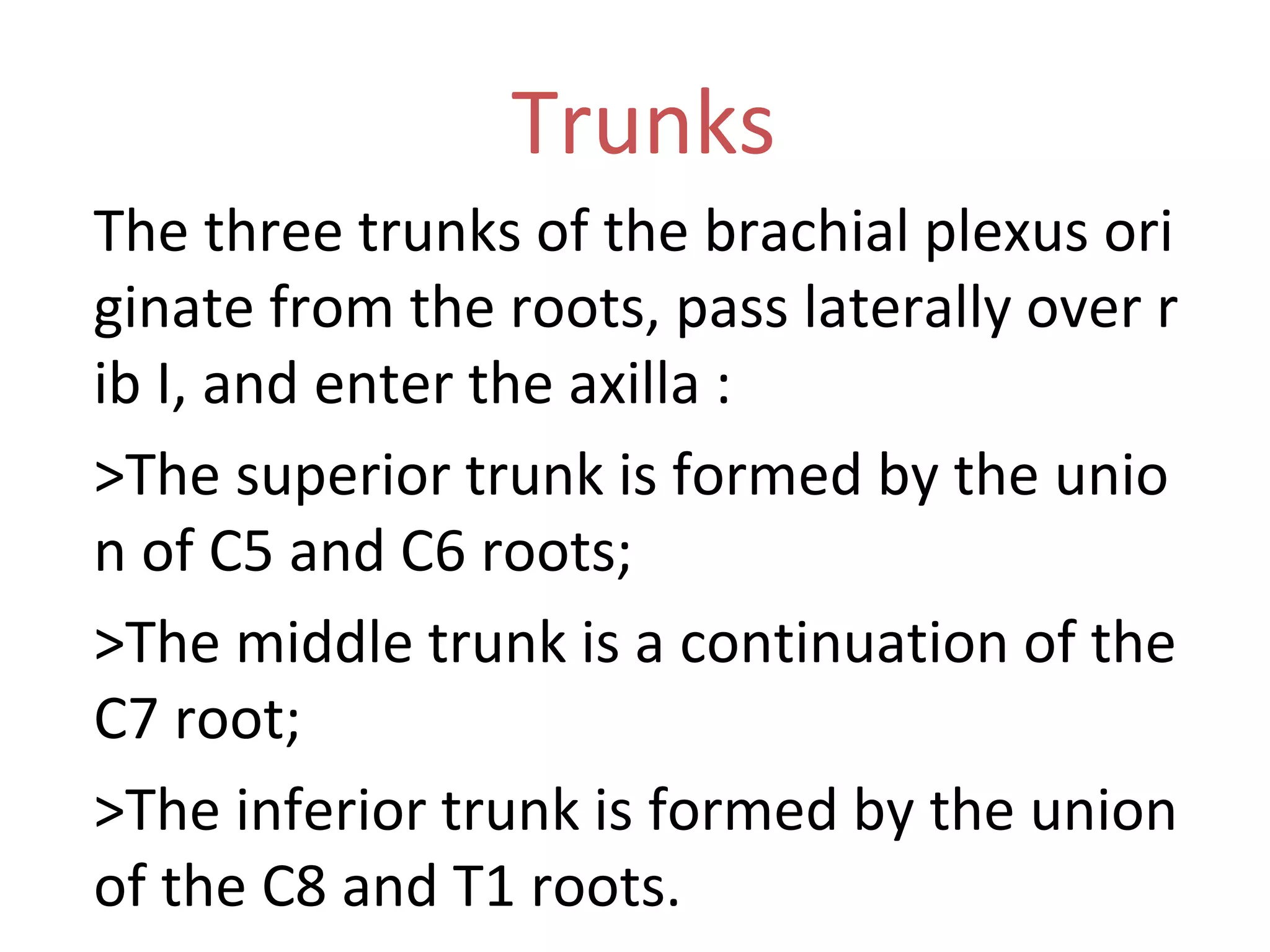 Brachial plexus.pptx