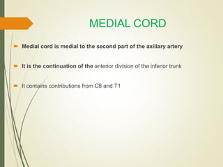 Brachial Plexus.pptx