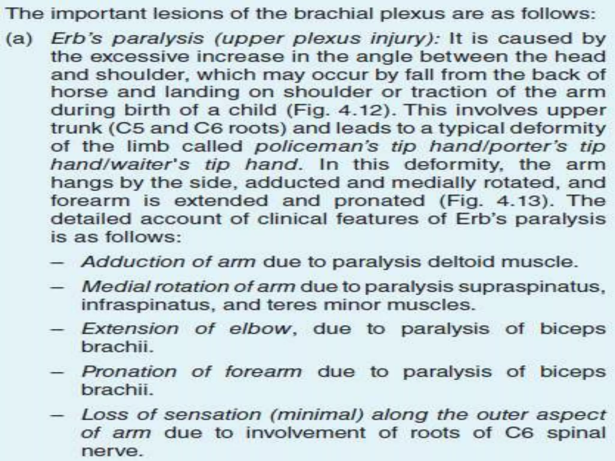 brachial plexus.pptx