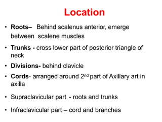 brachialplexus.pptx