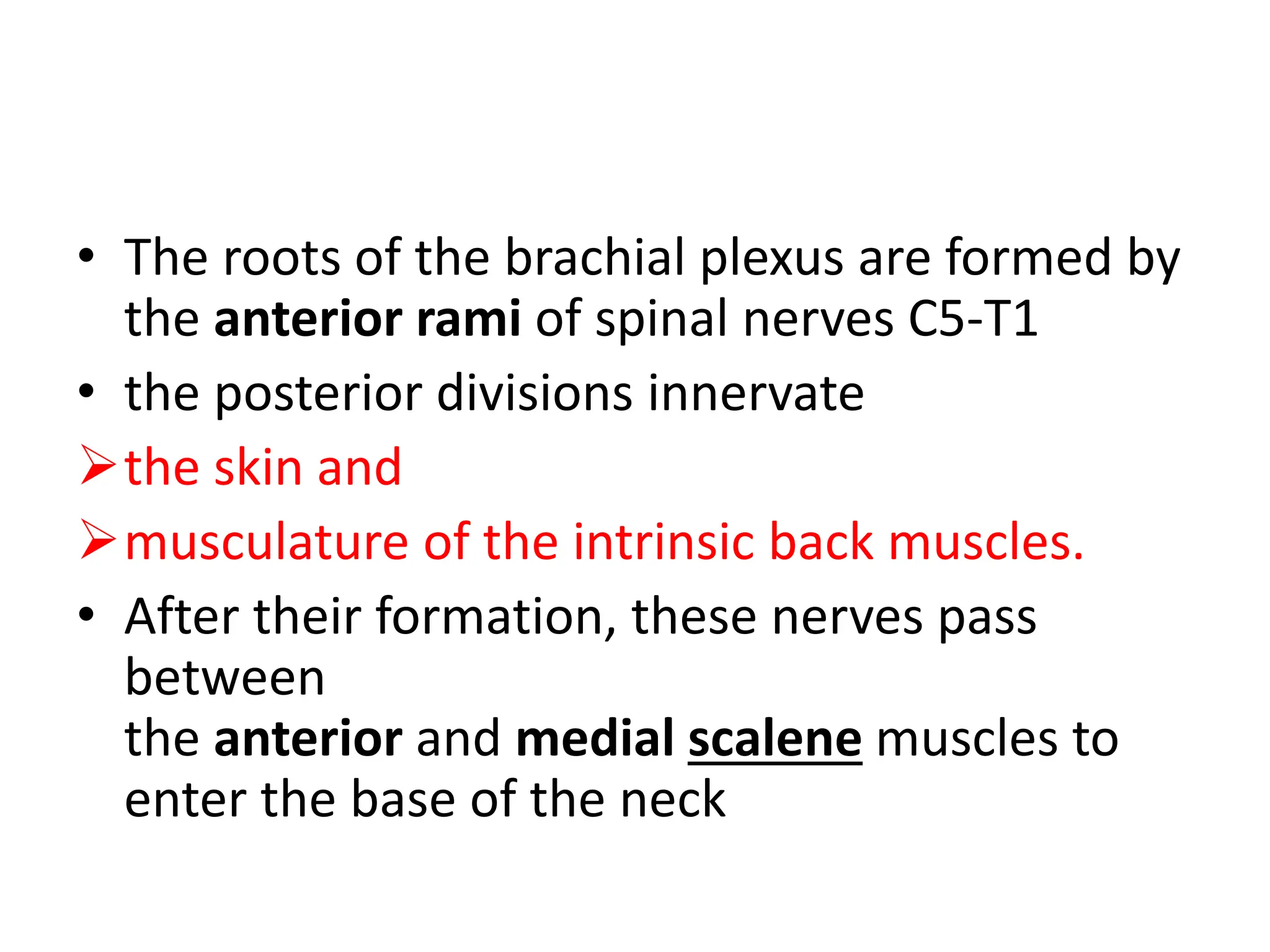 BRACHIAL PLEXUS (Upper Limb innervation).pptx