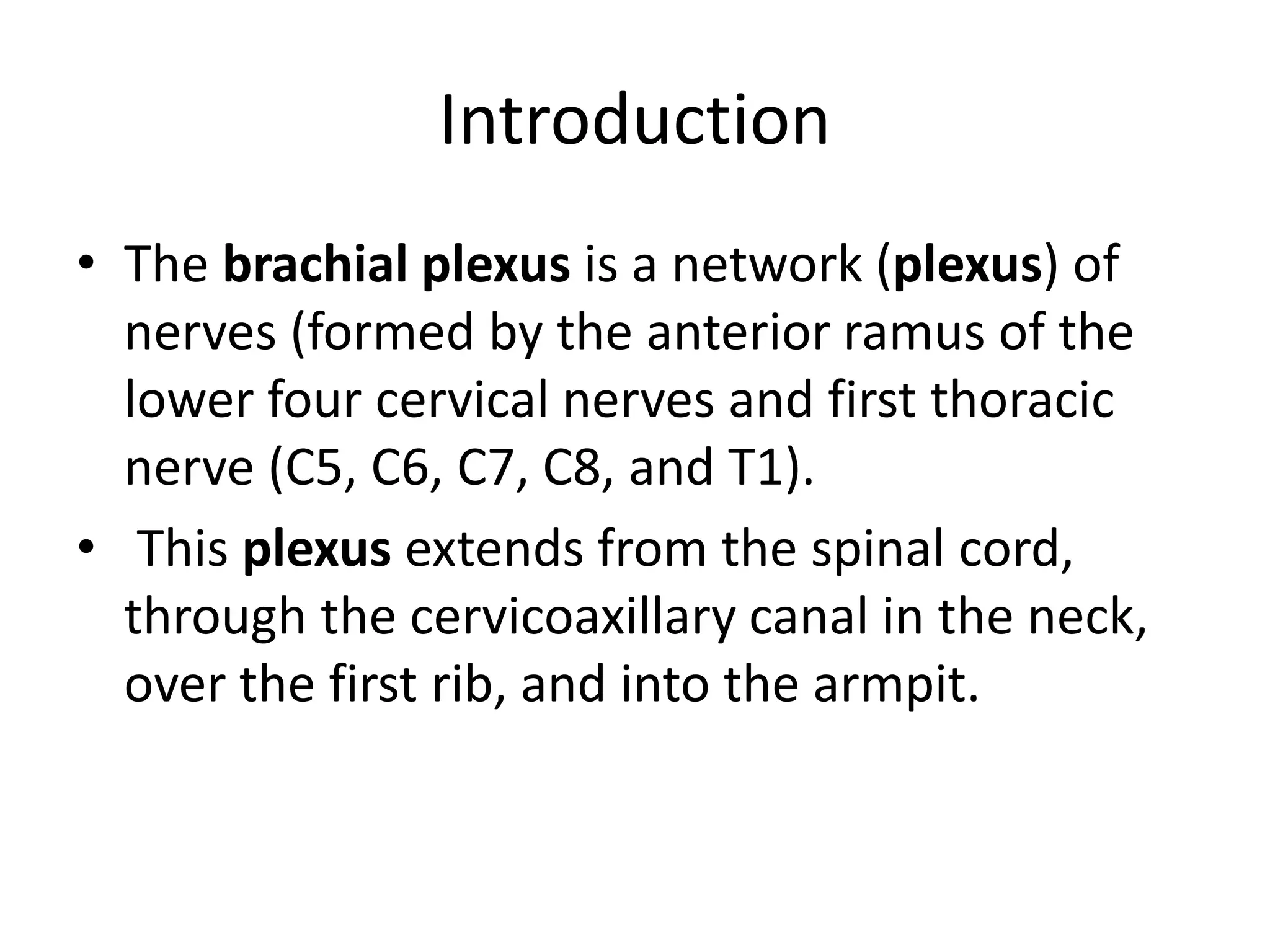 BRACHIAL PLEXUS (Upper Limb innervation).pptx
