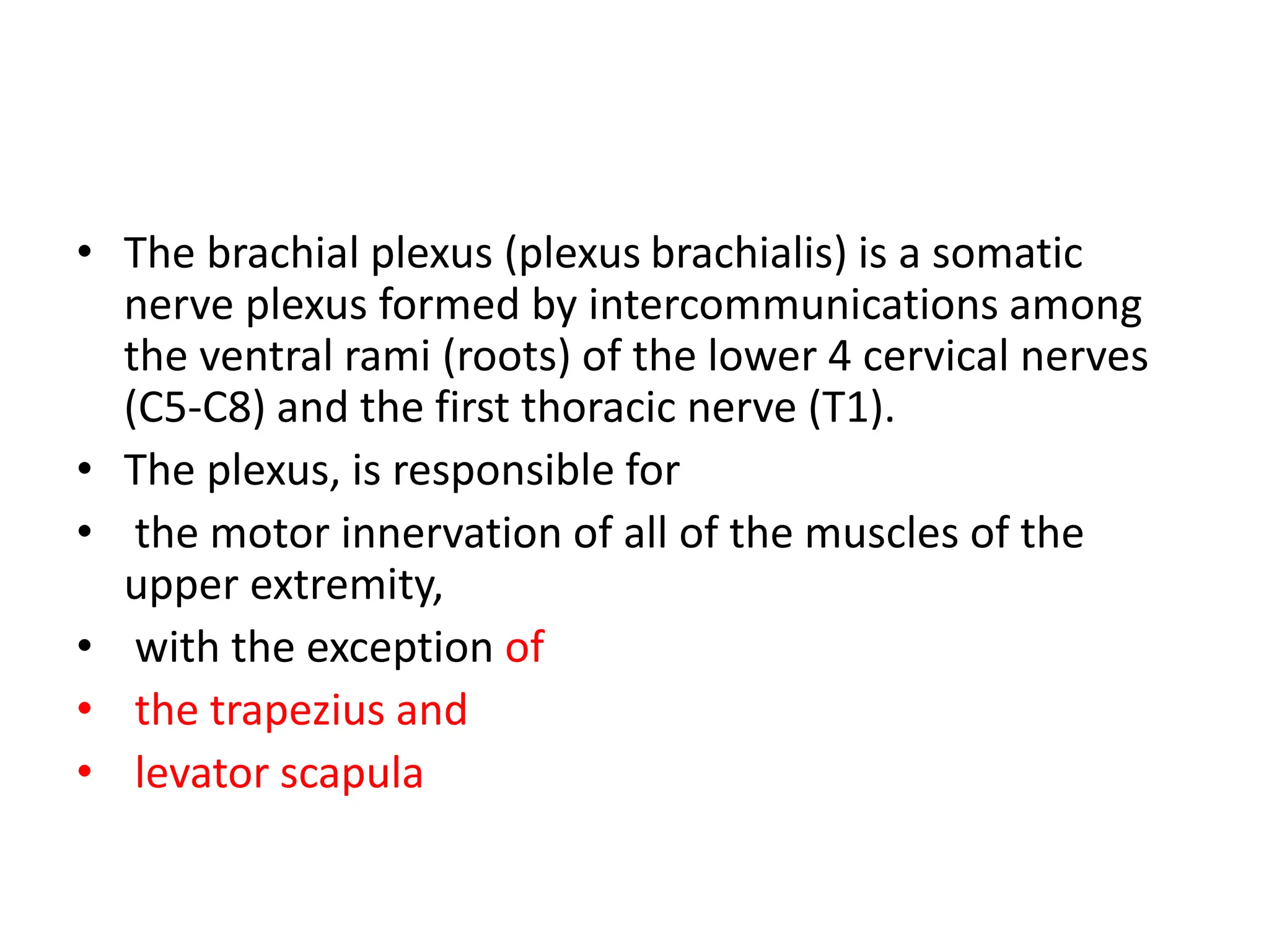 BRACHIAL PLEXUS (Upper Limb innervation).pptx