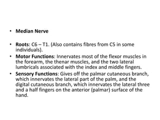 BRACHIAL PLEXUS (Upper Limb innervation).pptx