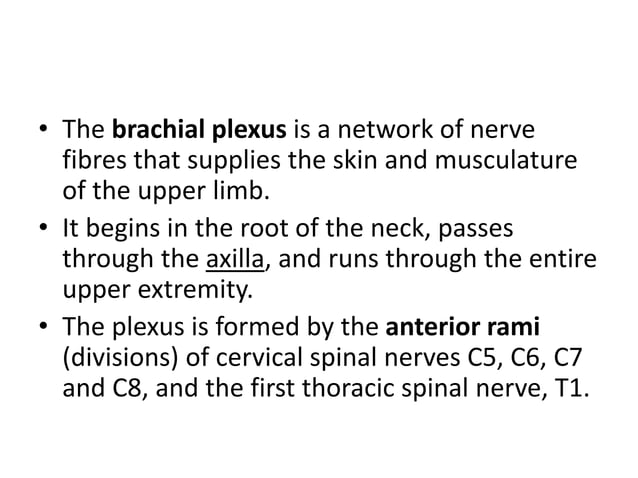 BRACHIAL PLEXUS (Upper Limb innervation).pptx