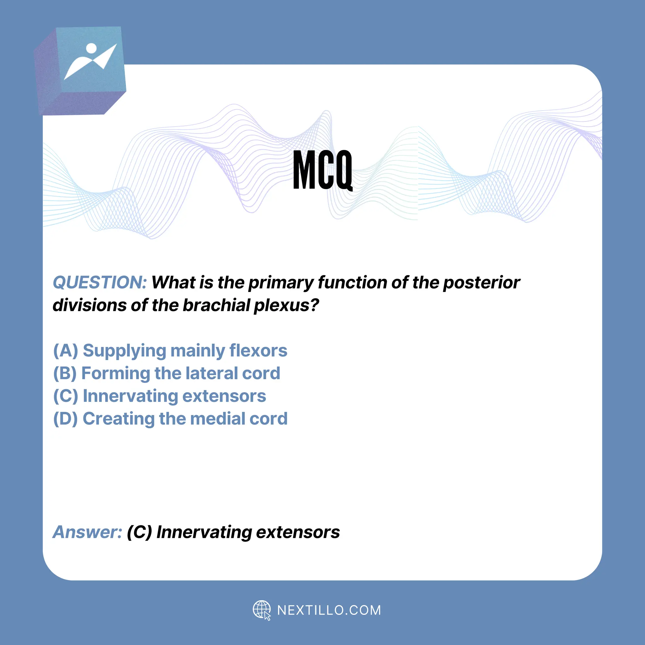 Brachial Plexus | Dibs | Surgery | Nextillo | PDF