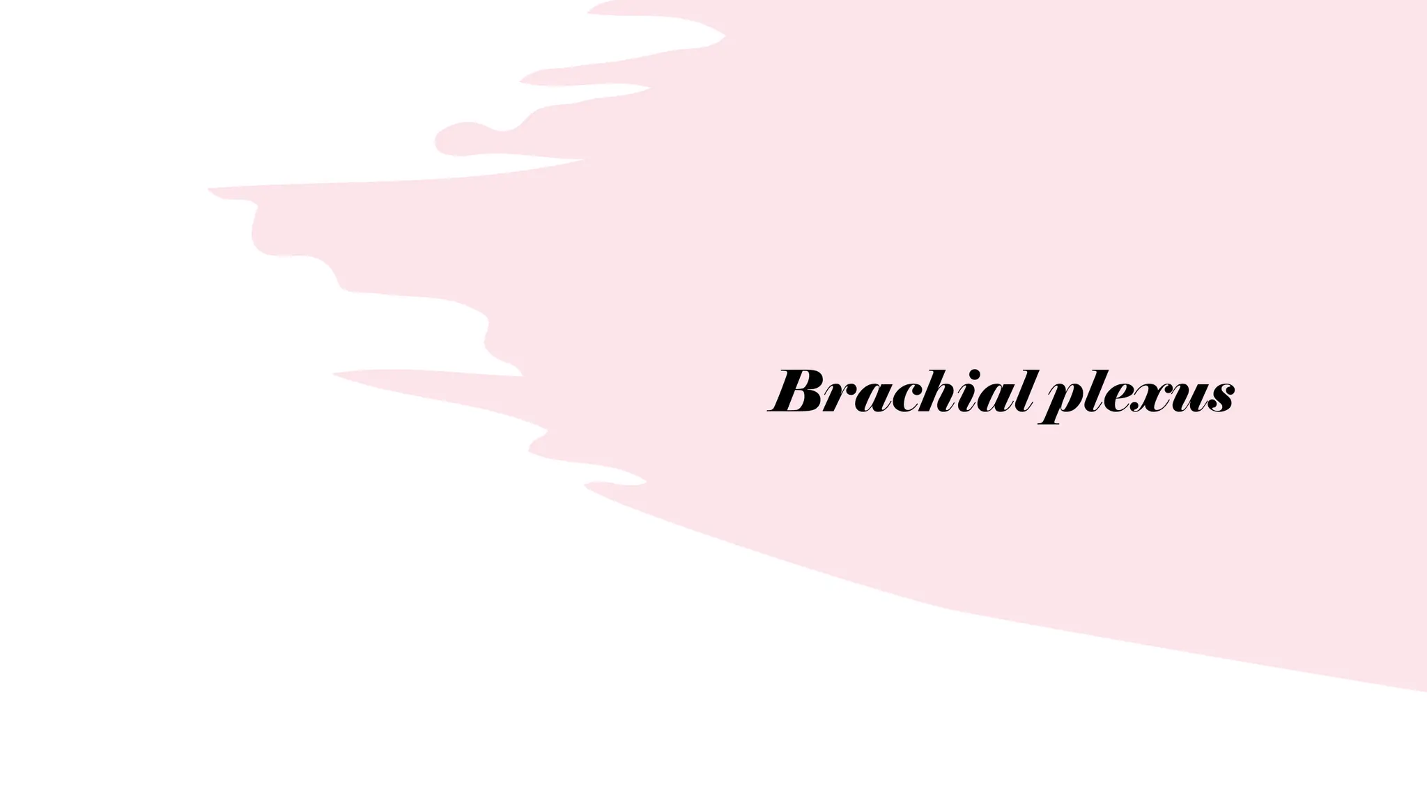 brachial plexus Nausheen Tamboli | PPTX