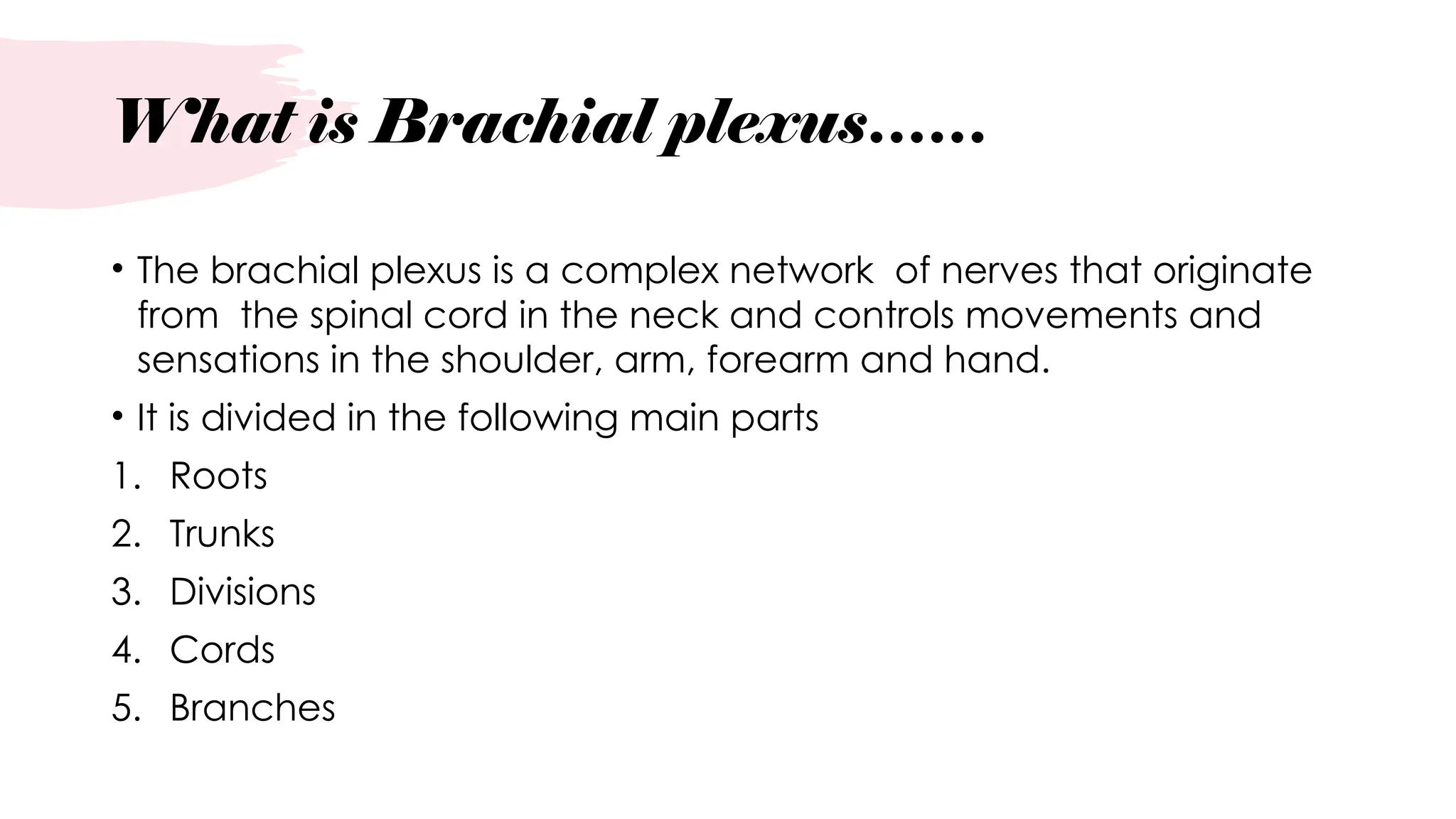 brachial plexus Nausheen Tamboli | PPTX