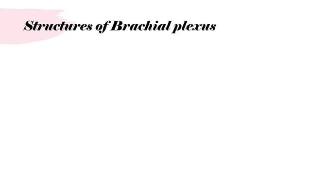 brachial plexus Nausheen Tamboli | PPTX