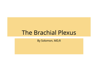 Gross anatomy of brachial Plexus and clinical importance.ppt