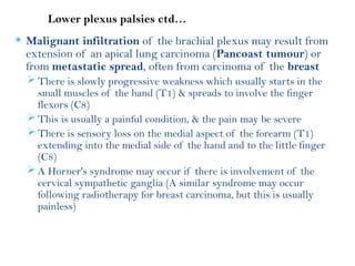 Gross anatomy of brachial Plexus and clinical importance.ppt
