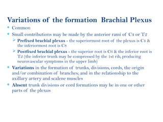 Gross anatomy of brachial Plexus and clinical importance.ppt