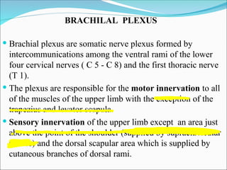 Brachial Plexus specifically in the sports | PPT