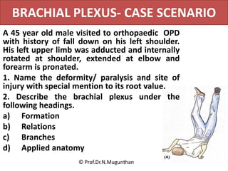 BRACHIAL PLEXUS -Lecture Notes By Prof.Dr.N.Mugunthan. KMMC Medical ...