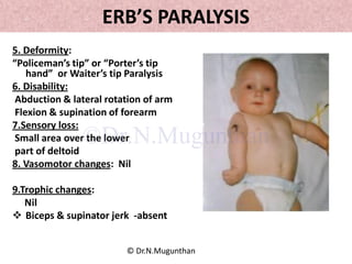 Brachial plexus Dr.N.Mugunthan | PPT