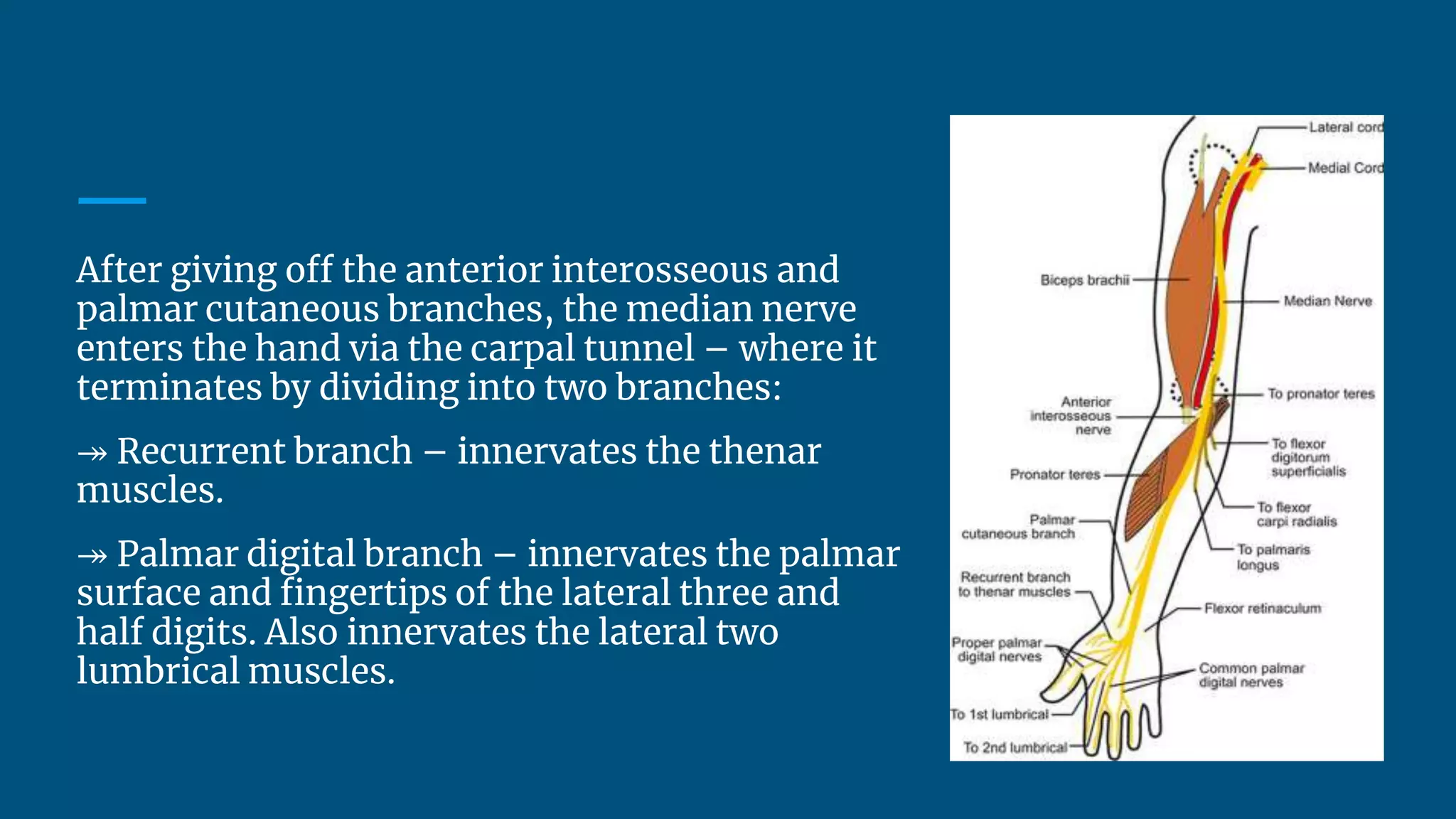 Brachial plexus and peripheral nerve injuries.pptx