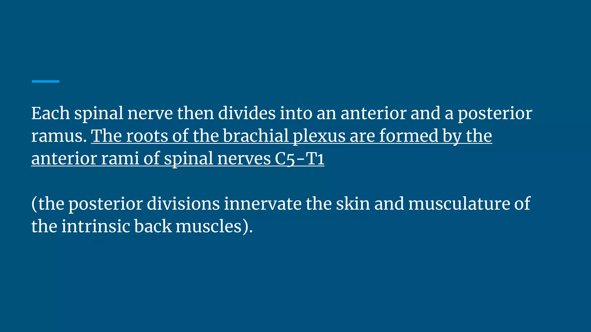 Brachial plexus and peripheral nerve injuries.pptx