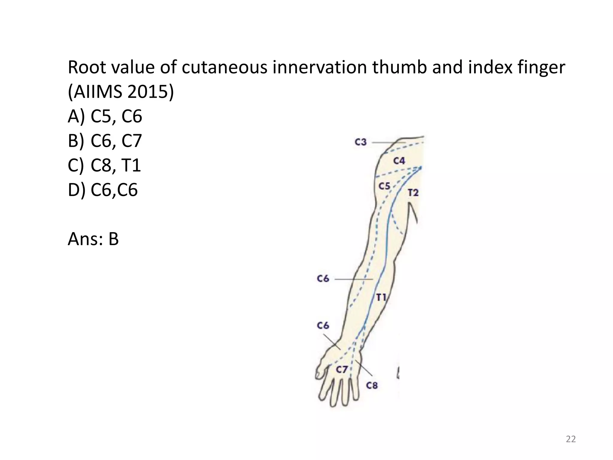 Brachial plexus 1.pdf