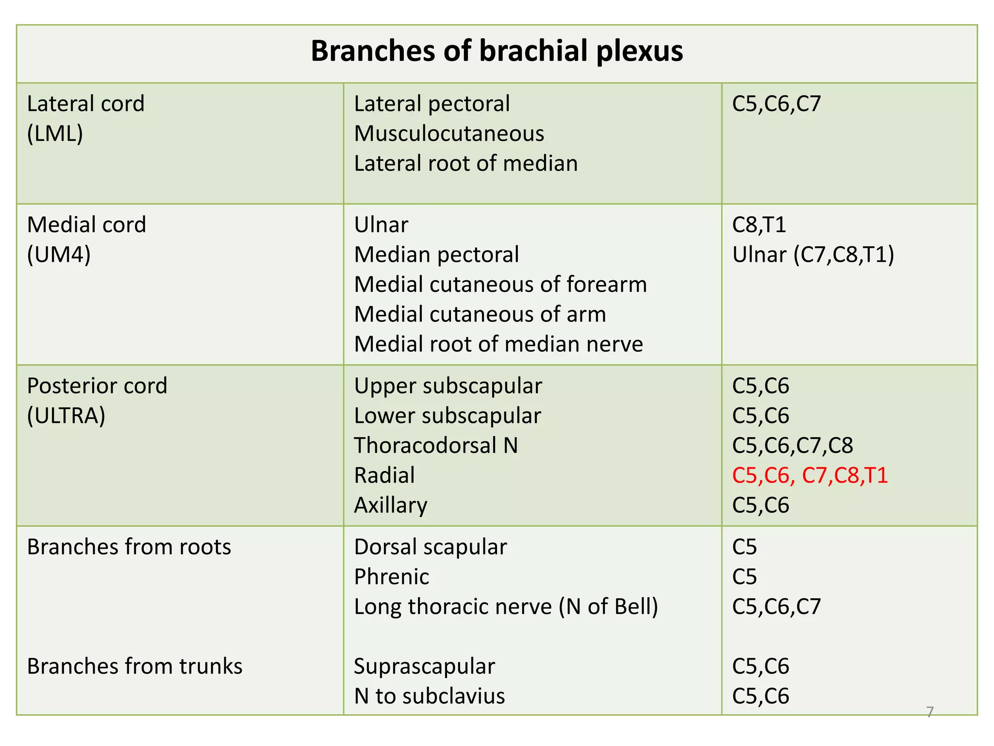 Brachial plexus 1.pdf