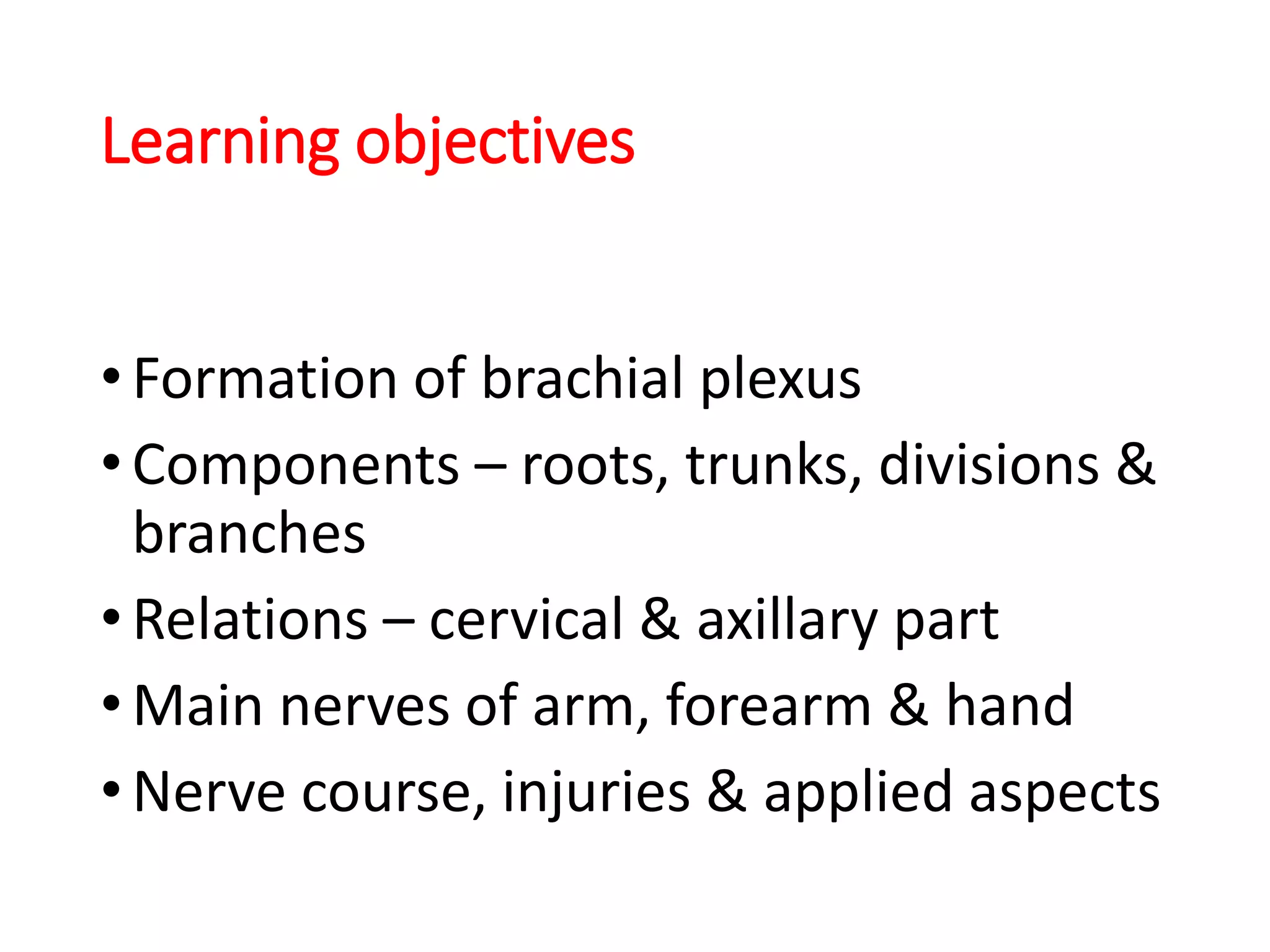 brachial_plexus (1).pdf