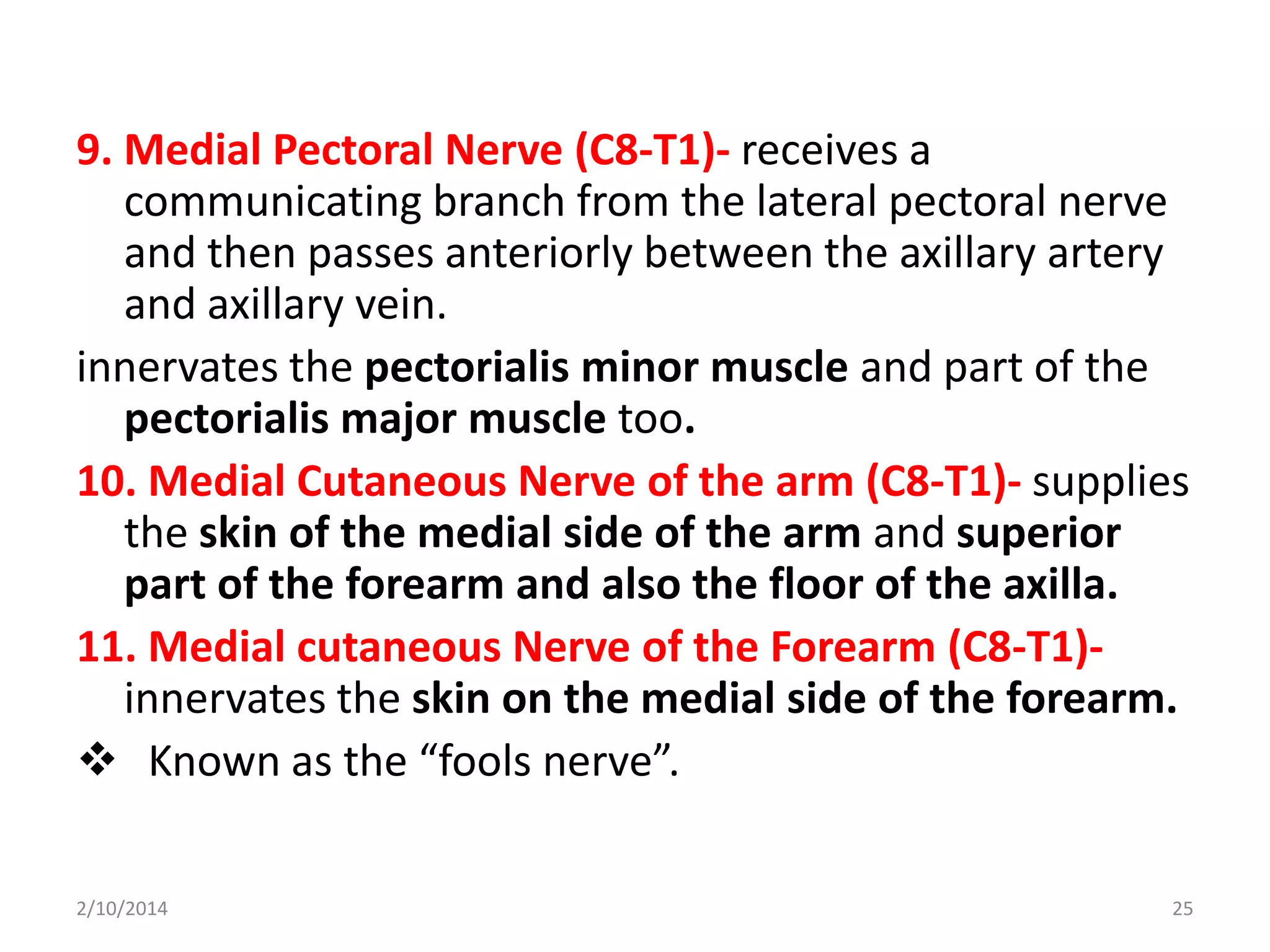 Brachial plexus (2) | PPTX